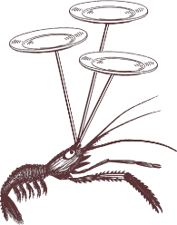 - London Shell Co. Paddington